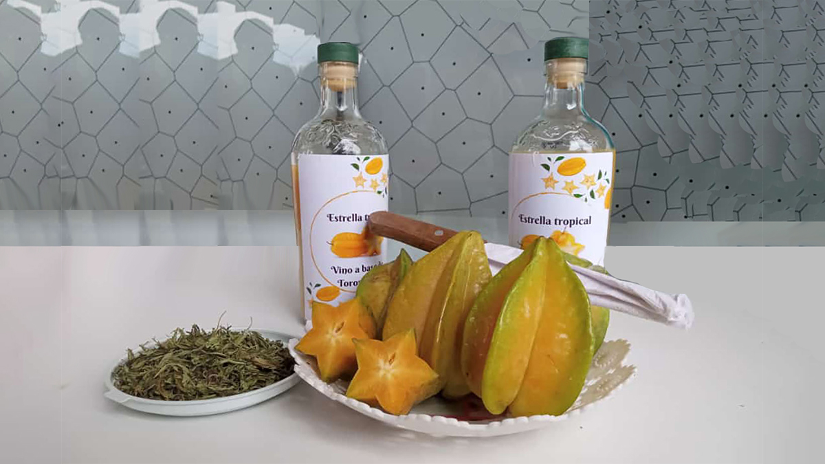 Toronbolo a Vino – portalvallenato.net